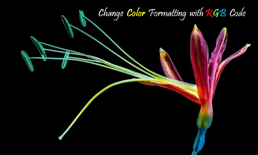Excel VBA Change Cell Color Get RGB Code Of Colorindex